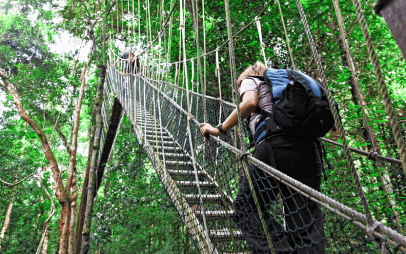 Kuala Lumpur: Taman Negara National Park Teras Waterfall - Key Points