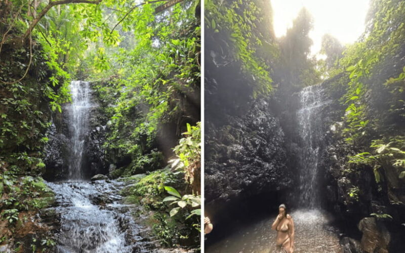 Kuala Lumpur: Taman Negara National Park Teras Waterfall - An In-Depth Look at the Tour Experience