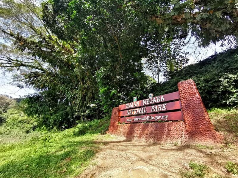 Kuala Lumpur: Taman Negara Tour w/Lata Berkoh Falls & Lunch - Why We Think This Tour Is Worth Considering