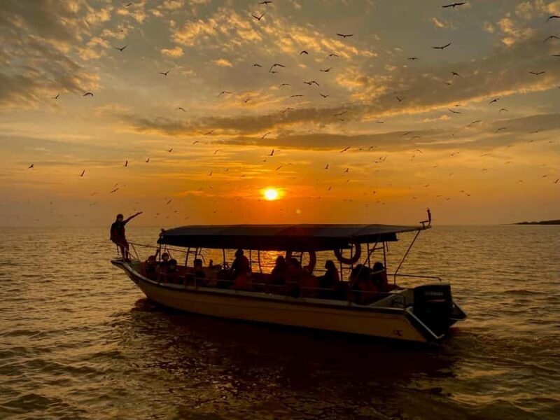 Kuala Selangor: Eagles, Fireflies & Blue Tears Boat Tour - An In-Depth Look at the Experience