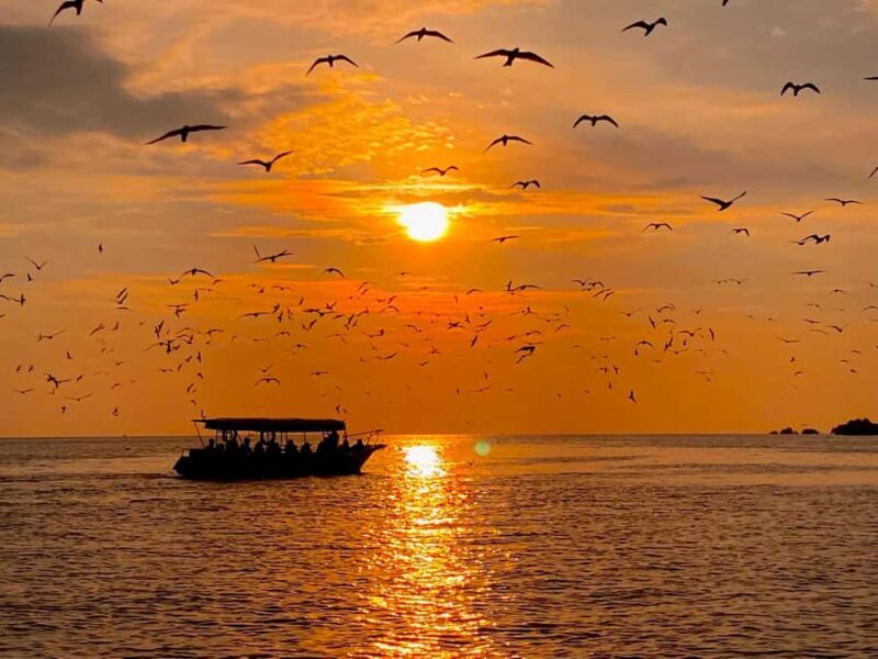 Kuala Selangor: Eagles, Fireflies & Blue Tears Boat Tour - Final Thoughts