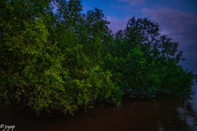 Kuala Selangor: Eagles, Fireflies & Blue Tears Boat Tour - Frequently Asked Questions