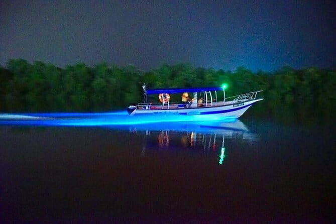 Kuala Selangor Fireflies and Blue Tears Tour with Dinner (SIC) - A Closer Look at the Itinerary