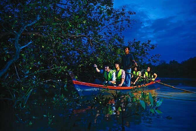 Kuala Selangor Fireflies & Nature Escape From Kuala Lumpur - An Introduction to the Experience