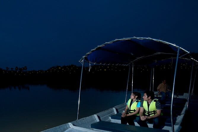Kuala Selangor Firefly Blinkings Private Tour with Seafood Dinner - Introduction