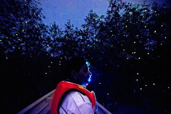 Kuala Selangor Firefly Boat Tour with Roundtrip Transfer from Kuala Lumpur - Who Would Love This Tour?