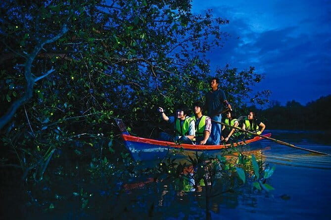 Kuala Selangor Firefly Park - In-Depth Look at the Tour Experience
