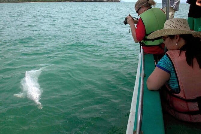 Kuala Sepetang Mangrove & Fireflies Tour with Dinner - The Experience’s Strengths