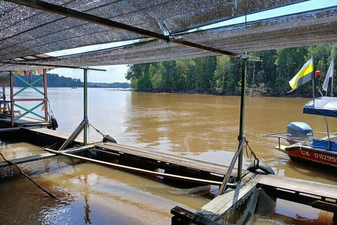 Kuala Sepetang Private Day Tour From Ipoh - Practical Details & What to Expect