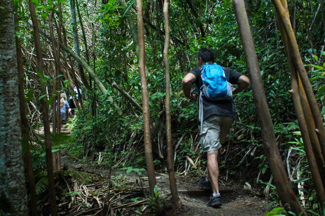 Kualoa Ranch - Best of Kualoa Experience Package - Who Should Consider This Tour?