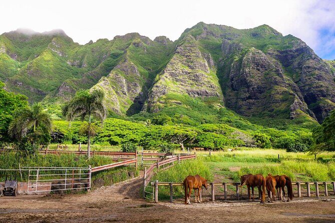 Kualoa Ranch: Jungle Expedition Tour - Introduction: Why This Tour Might Be Your Next Oahu Adventure