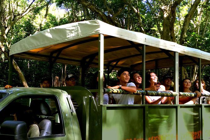 Kualoa Ranch: Jungle Expedition Tour - An In-Depth Look at the Jungle Expedition Tour