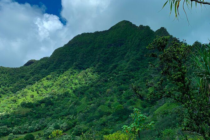 Kualoa Ranch: Jungle Expedition Tour - Practical Tips for Your Jungle Expedition