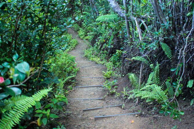 Kualoa Ranch: Jungle Expedition Tour - FAQ