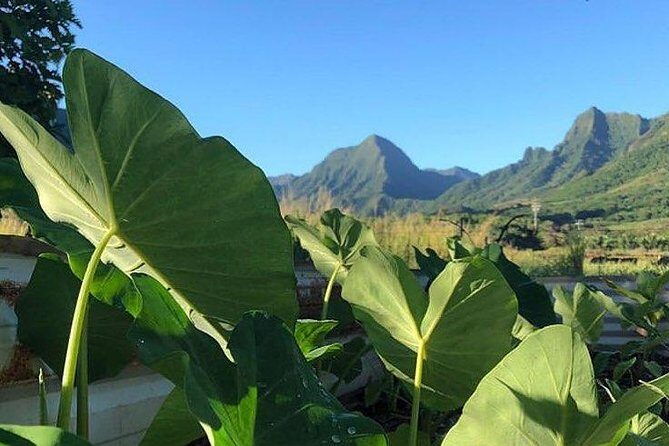 Kualoa Ranch - Kualoa Grown Tour - Canoe Ride Across an Ancient Fishpond