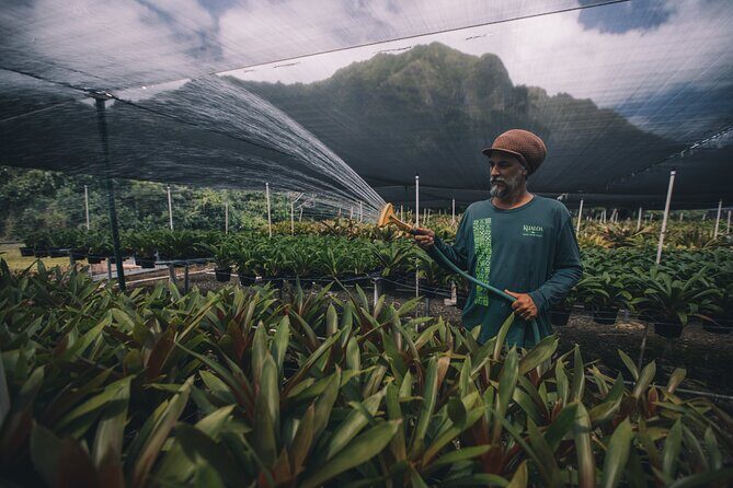 Kualoa Ranch - Kualoa Grown Tour - Is It Worth the Price?