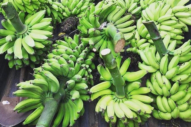 Kualoa Ranch - Kualoa Grown Tour - Practical Tips for Visitors