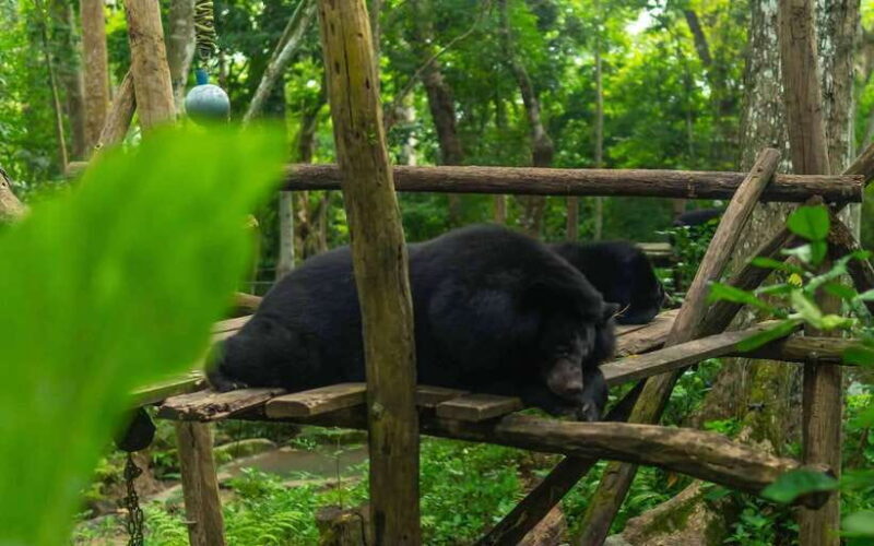 Kuang Si Waterfall, Tree Top Cafe, Ziplining - Authentic Experiences and Highlights