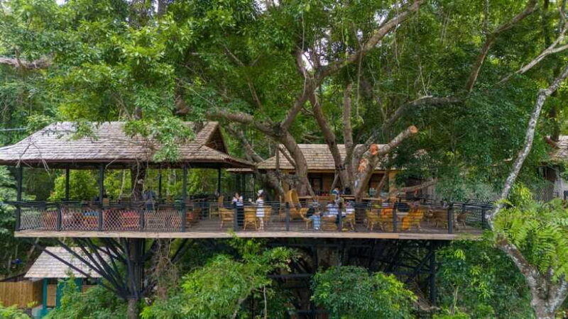 Kuang Si Waterfall, Tree Top Cafe, Ziplining - Who will love this tour?