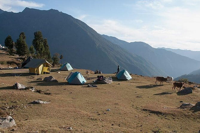 Kuari Pass Trek- 8 Days - An Honest, Detailed Look at the Kuari Pass Trek