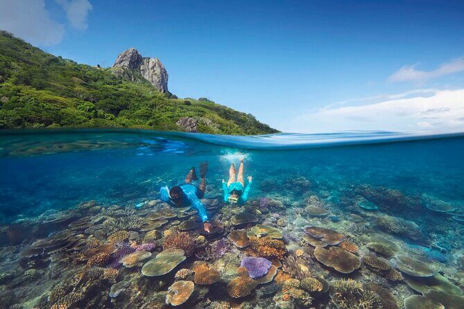 Kuata Island Marine Conservation Experience with Lunch - Key Points