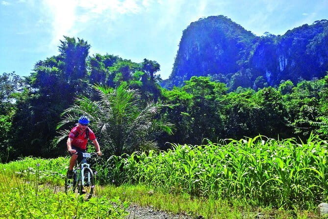 Kuching Airport Transfer-Departure - Final Thoughts