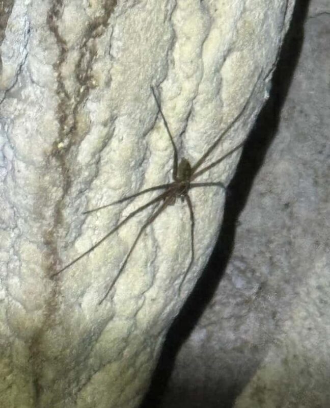 Kuching: Fairy & Wind Cave Guided Tour - Key Points