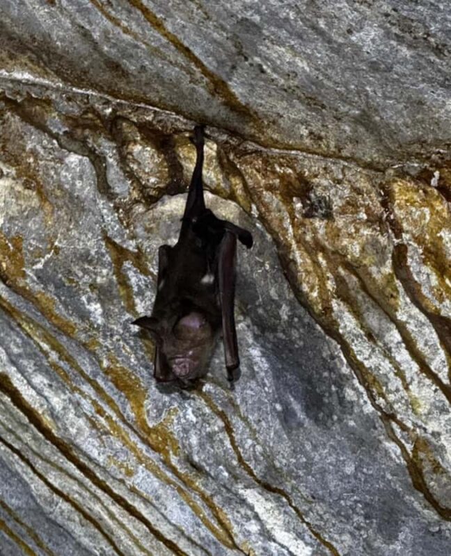 Kuching: Fairy & Wind Cave Guided Tour - Analyzing the Experience