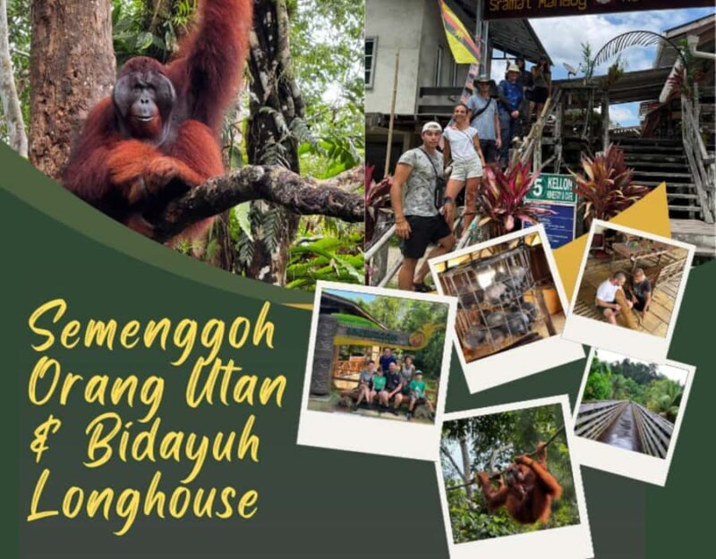 Kuching Orangutan & Bidayuh Longhouse - Key Points