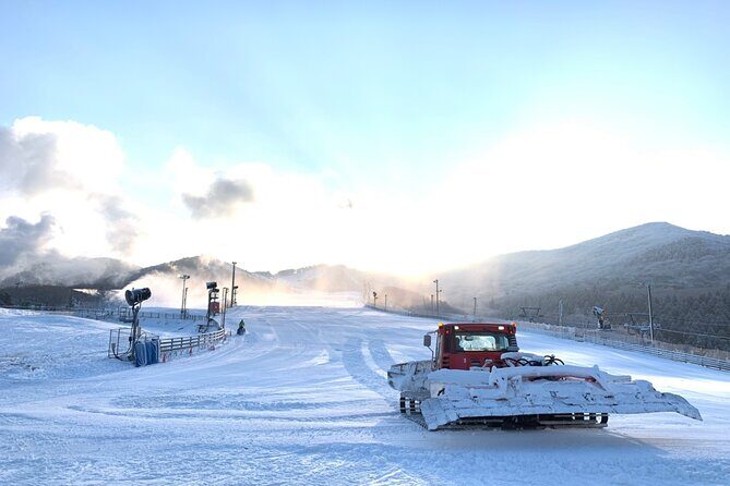 Kuju Forest Park Skiing Grounds Day Tour from Fukuoka - The Value Proposition