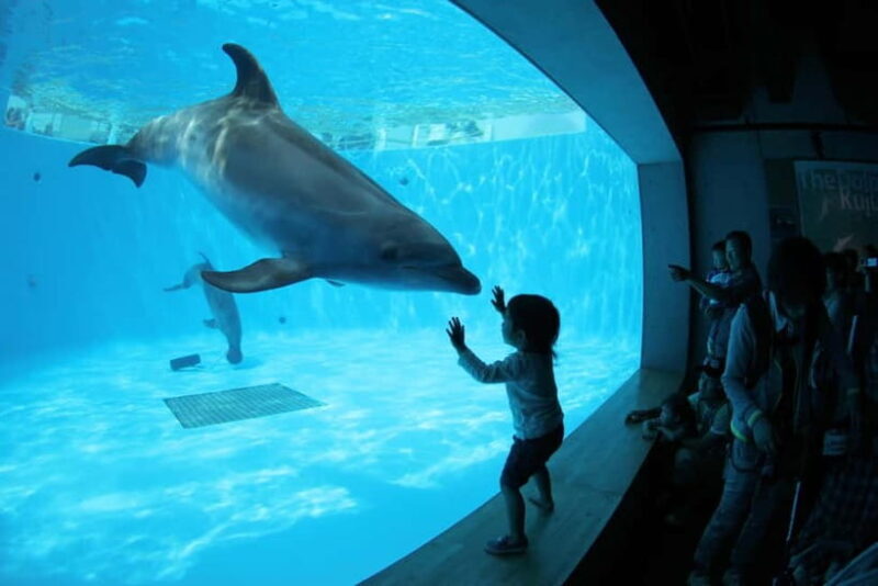 Kujukushima: Aquarium Umikirara Admission Ticket - What Makes Kujukushima and Umikirara Aquarium Special