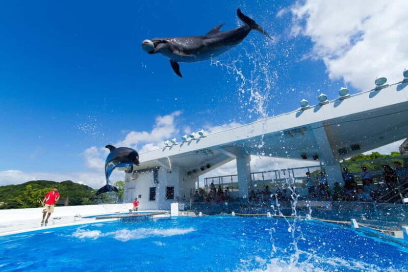 Kujukushima: Aquarium Umikirara Admission Ticket - Why Visiting Umikirara Aquarium Is Worth Your Time