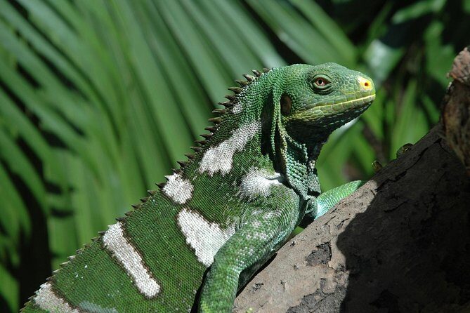 Kula Eco Park Admission - Value and Practical Considerations