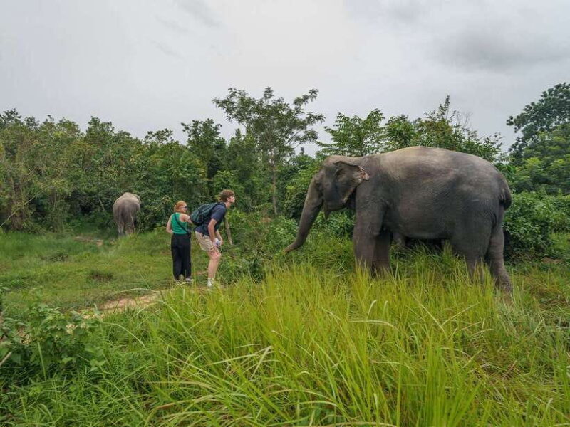 Kulen Adventure tour by Jeep with Picnic & Elephant Forest - Authentic Encounters and Traveler Feedback