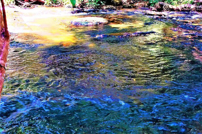 Kulen deep jungle explorations Private Tour - The Mystique of Beng Mealea: Cambodia’s Jungle Fortress