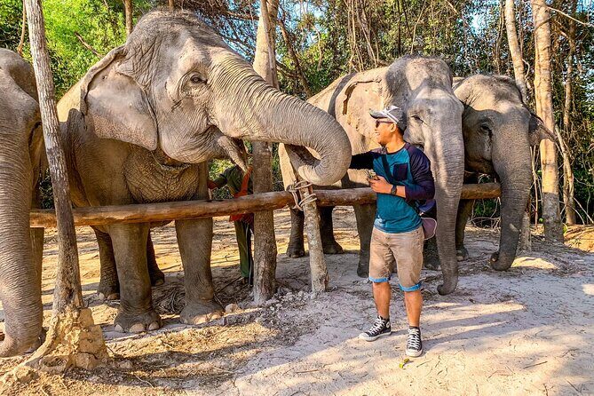 Kulen Elephant Forest by private tour - An In-Depth Look at the Tour Experience