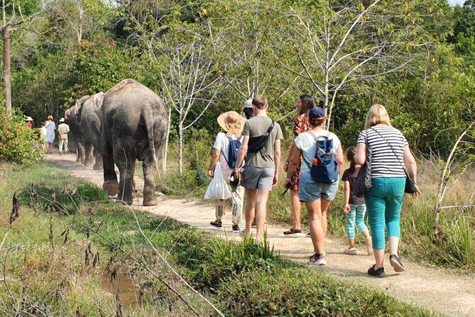 Kulen Elephant Forest by private tour - FAQ