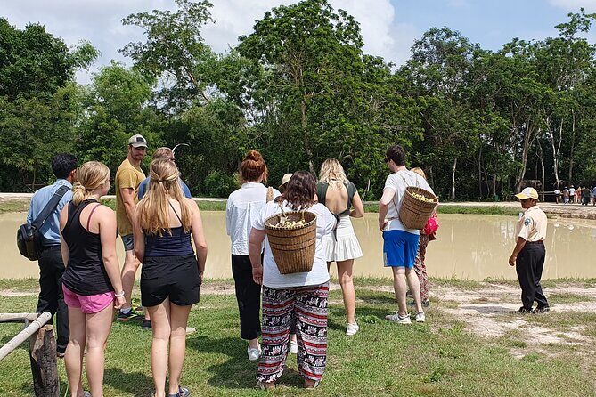 Kulen Elephant Forest & Kampong Phluk by Private Tour - Price, Value, and Considerations