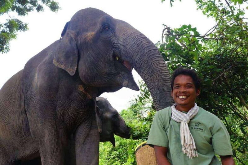 Kulen Elephant Forest Siem Reap in Small Group - Why this experience is special