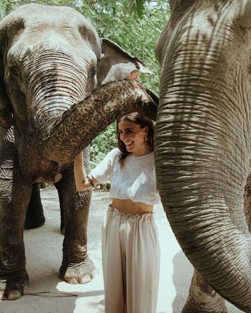 Kulen Elephant Forest Siem Reap in Small Group - Who should consider this tour?