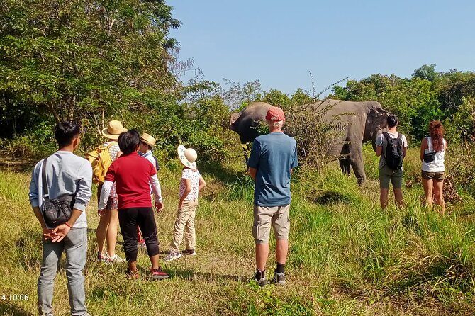 Kulen Elephant Forest & Tonlesap Lake - The Sum Up: Who Should Consider This Tour?