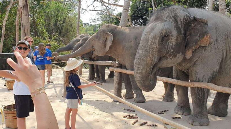Kulen Elephant Forest & Tonlesap Lake - Who Will Appreciate This Tour?