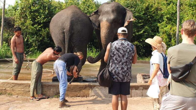 Kulen Elephant Forest & Tonlesap Lake - The Sum Up
