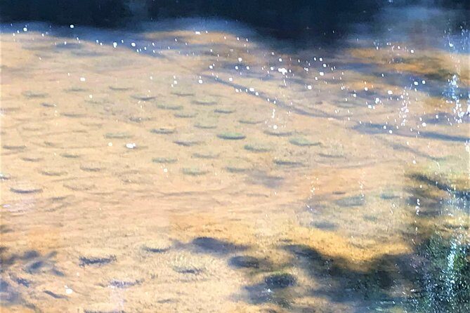 Kulen Mountain Army Jeep Tour - Key Points