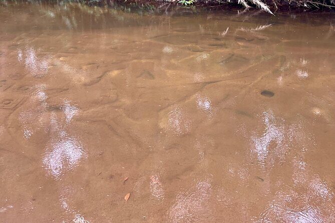 Kulen Mountain Waterfalls the National Park - Who Should Consider This Tour?