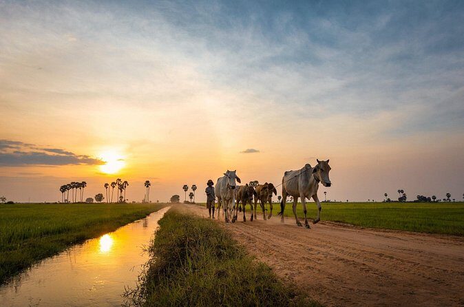 Kulen Waterfall and 1000Lingas Join-in Tour by Minivan - The Sum Up