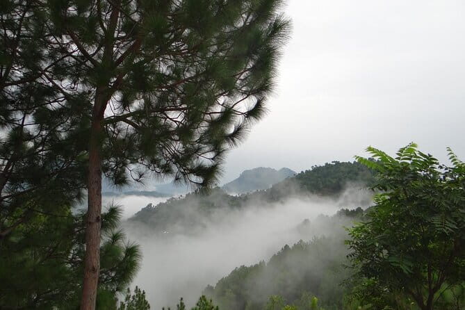 Kullu, Manali & Shimla Private Tour - An In-Depth Look at Your Himalayan Itinerary