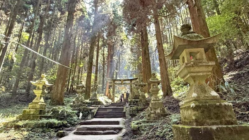 Kumamoto: Aso Volcano, Private Tour & Washi Paper Workshop - An In-Depth Look at the Kumamoto Aso Volcano & Washi Paper Tour