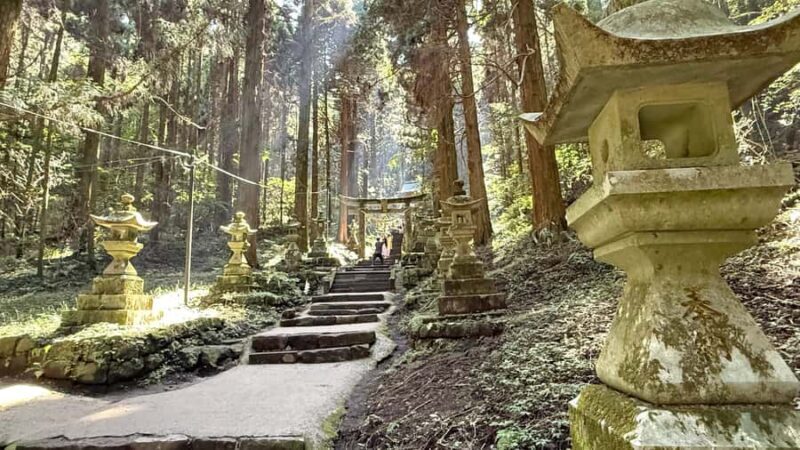 Kumamoto: Aso Volcano, Private Tour & Washi Paper Workshop - The Sum Up