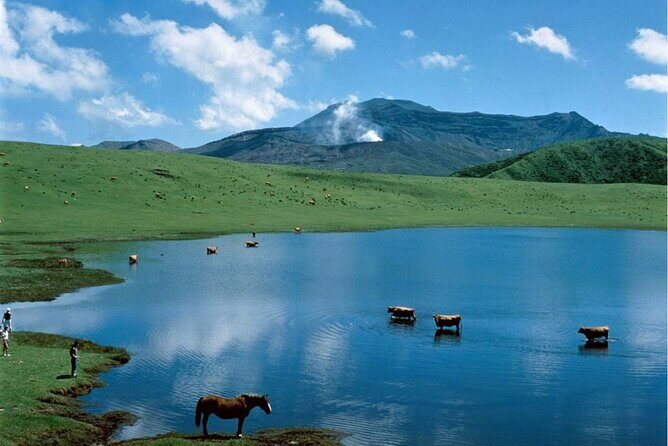 Kumamoto Castel, Mount Aso and Kusasenrigahama Tour from Fukuoka - FAQ